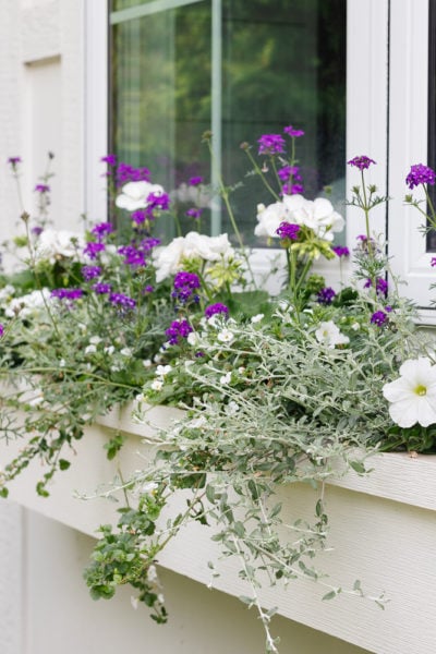 White and Purple Flower Window Box Flowers - The Lilypad Cottage
