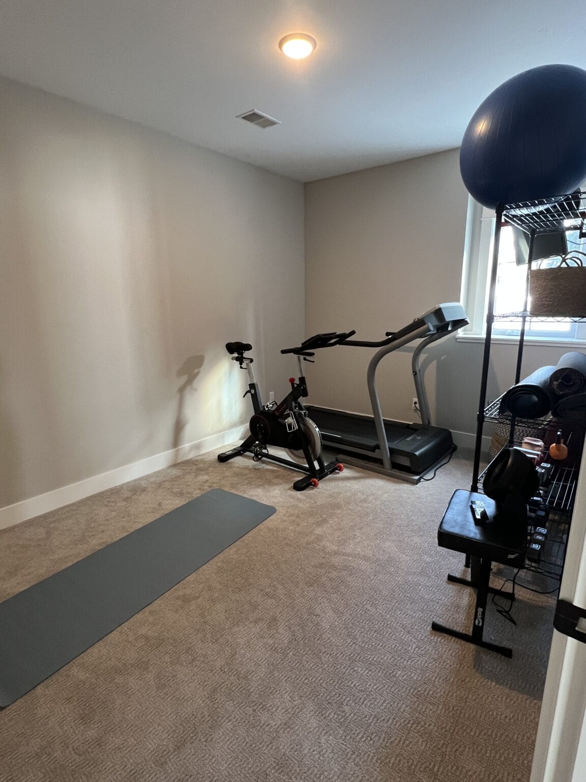 Small Workout Room Design - The Lilypad Cottage